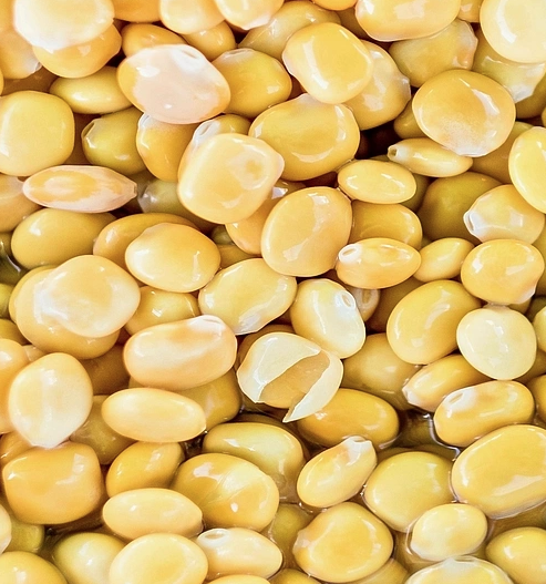 Bio Lupinen-Kaffee – Theresia AG